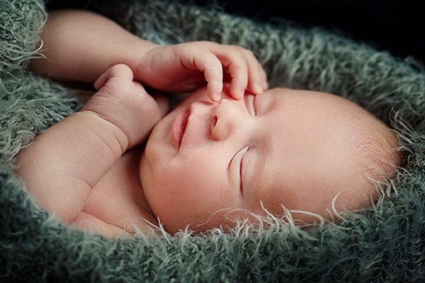 Womb to Tomb - Math of Life